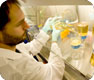 Jumping the Gun on Alternative Sources of Stem Cells - Center for ...