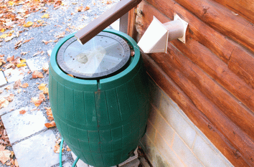 It’s Easy Being Green: April Showers Help More than Flowers - Center ...