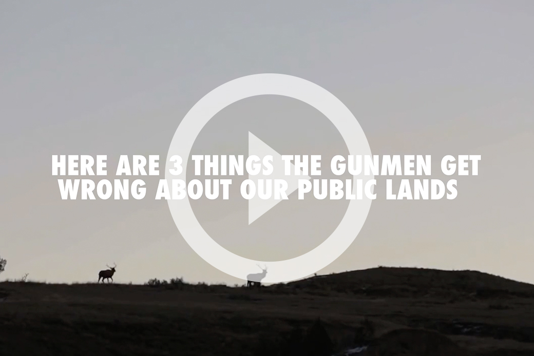 3 Things to Know about the Armed Gunmen (and Politicians) Who Want to ...