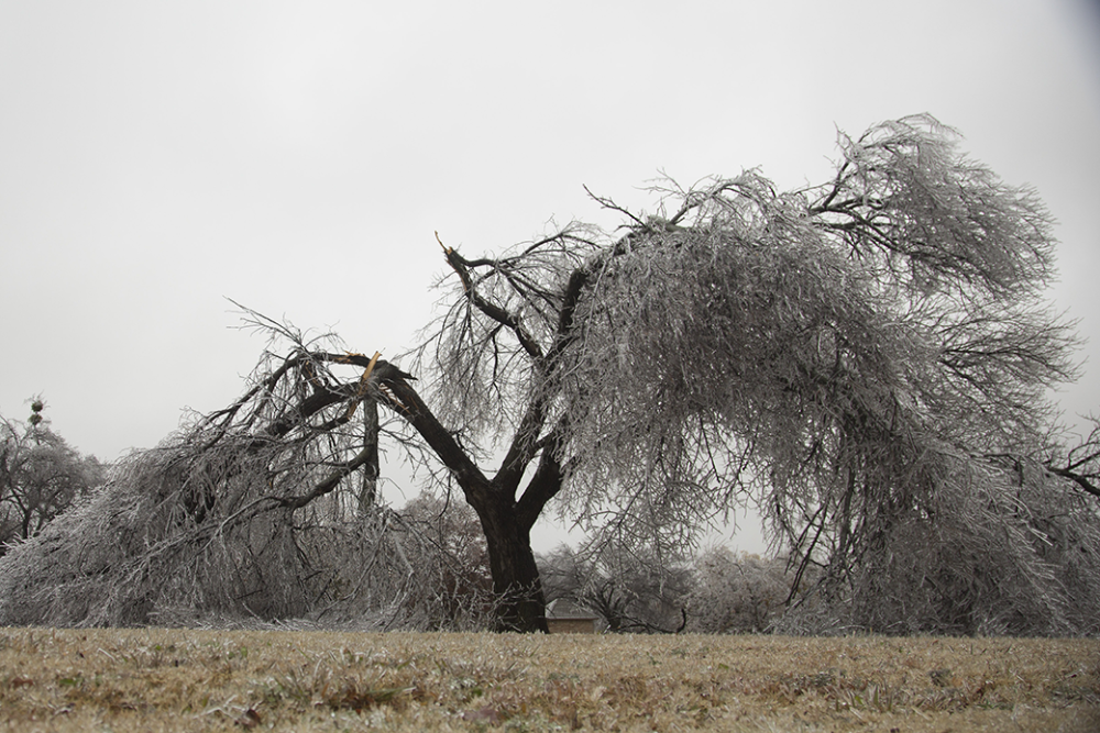 The Impacts of Climate Change and the Trump Administration’s Anti ...
