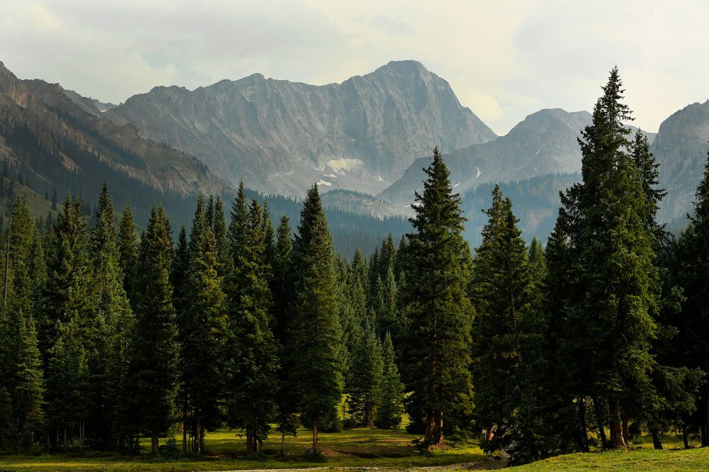 Ecosystem Benefits of the Thompson Divide Mineral Withdrawal - Center ...