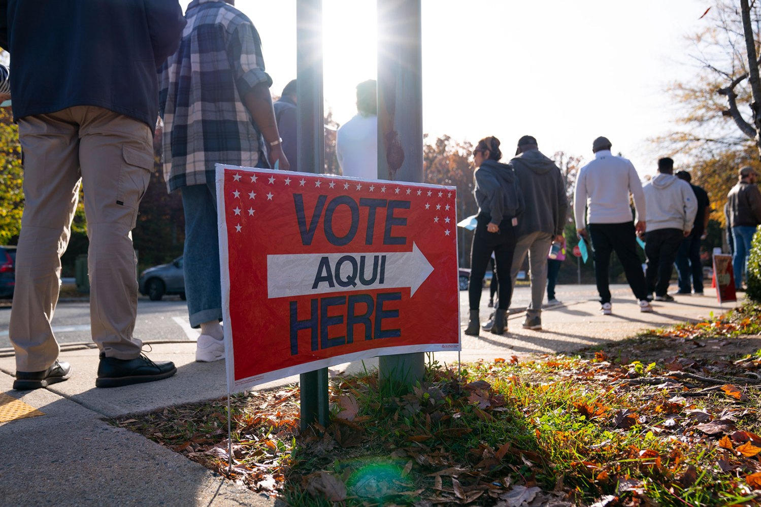 The Protection of Voting Rights Requires State Action - Center for ...