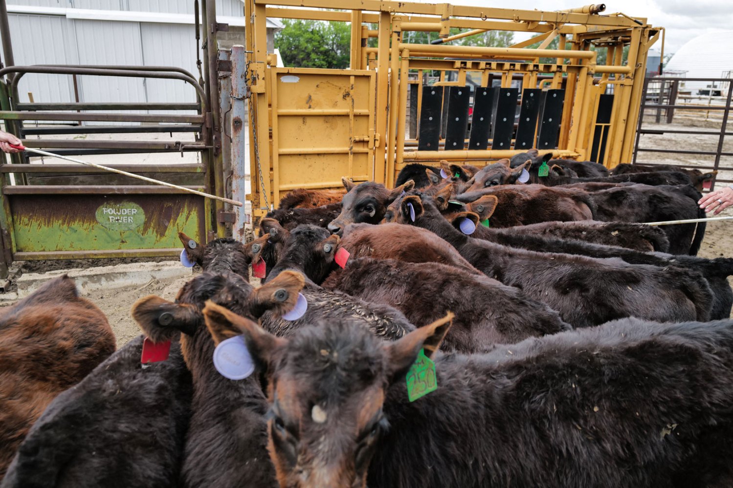 Events - Center for American Progress