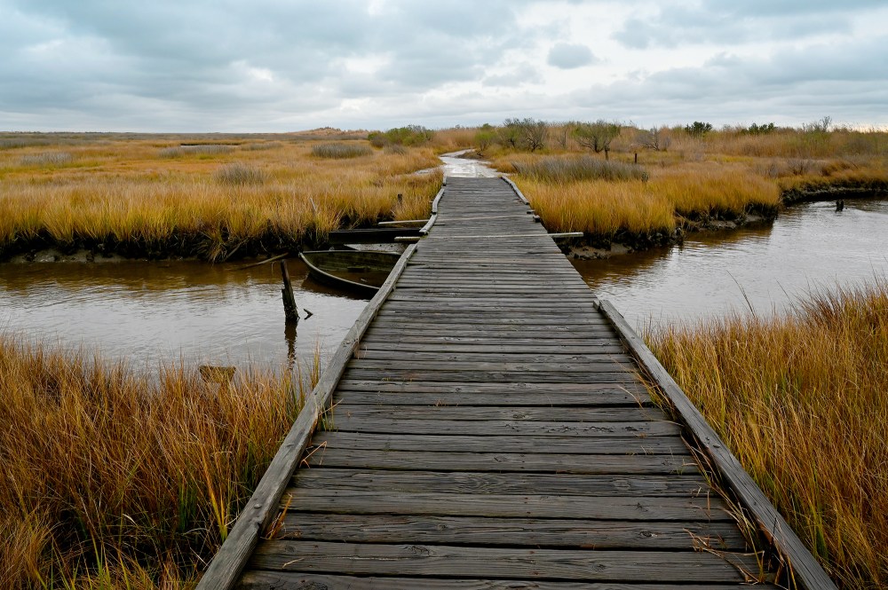 Nearshore Ocean Progress - Center for American Progress