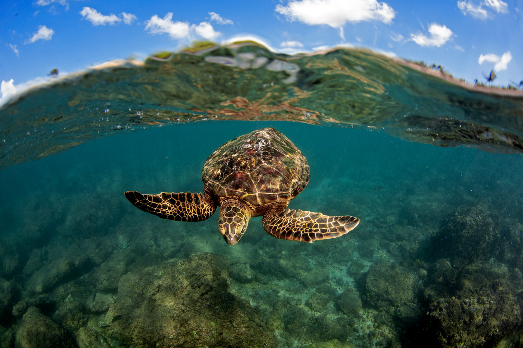Ocean Progress Symposium 2025: Advancing Conservation Close to Shore - Center for American Progress